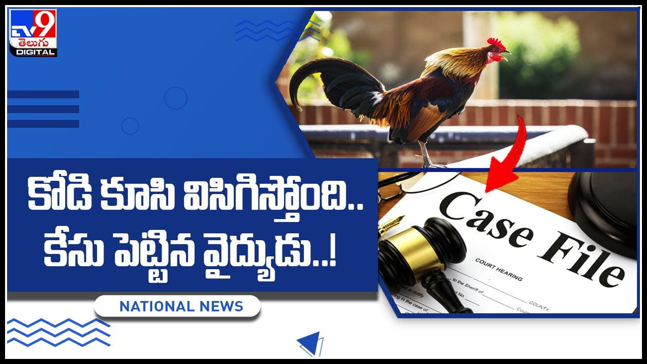 Case on hen: ఇదేం విడ్డురం అయ్యా.. కోడి కూసి విసిగిస్తోందని కేసు ...