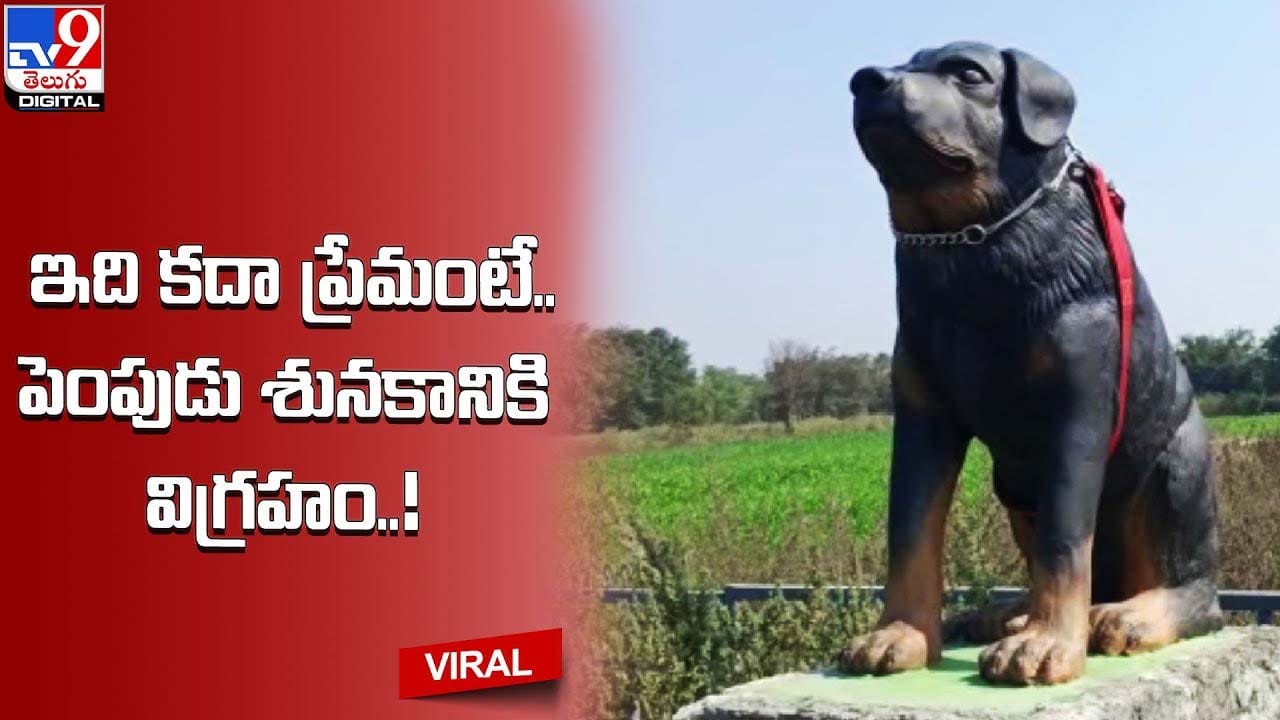 ఇది కదా ప్రేమంటే.. పెంపుడు శునకానికి విగ్రహం !! - Telugu News ...