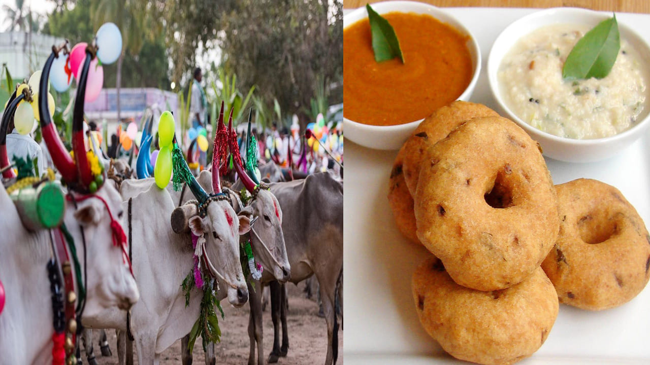 Kanuma 2023: కనుమ రోజున మినుము తినాలని.. ప్రయాణాలు వద్దని అంటారు ...