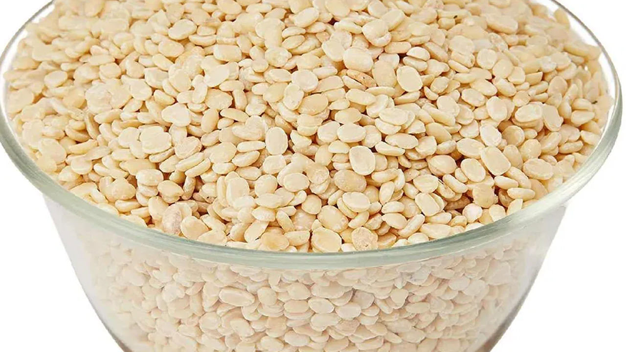 Urad Dal Benefits: మినపప్పుతో అదిరిపోయే ఆరోగ్య ప్రయోజనాలు.. పురుషుల్లో ... Urad Dal Benefits: మినపప్పుతో అదిరిపోయే ఆరోగ్య ప్రయోజనాలు.. పురుషుల్లో ...
