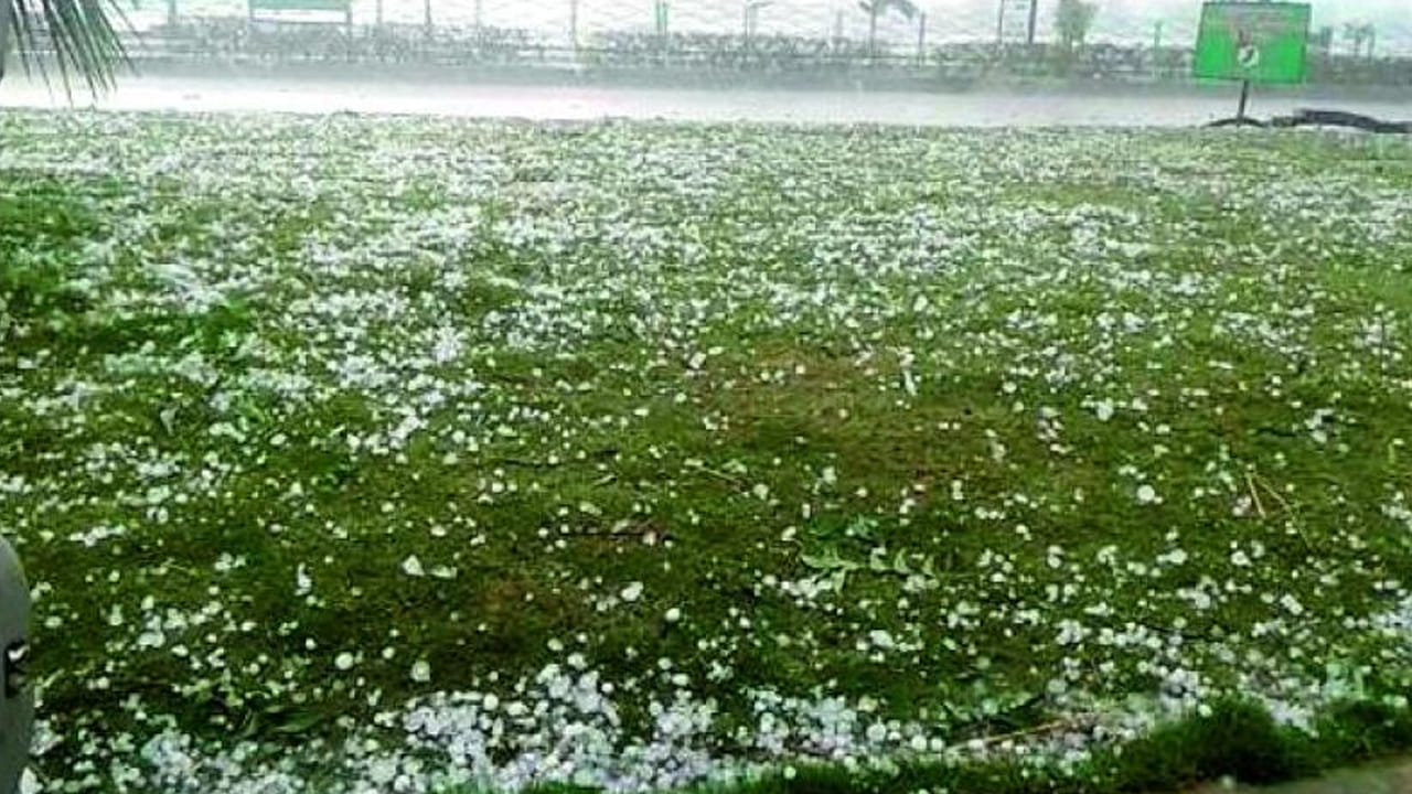 Rain Alert: తెలంగాణకు రెయిన్‌ అలెర్ట్‌.. మరో మూడు రోజుల పాటు భారీ ...