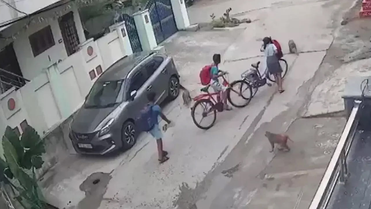 Monkey Attack: వనం వీడి జనావాసాల్లోకి కోతులు.. స్కూల్ విద్యార్థులపై వానరసైన్యం దాడి.. చిన్నారికి ...