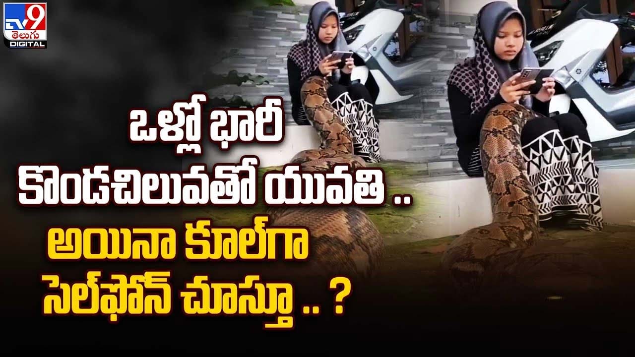 ఒళ్లో భారీ కొండచిలువతో యువతి .. అయినా కూల్‌గా సెల్‌ఫోన్ చూస్తూ !! - Telugu News | Woman with a ...