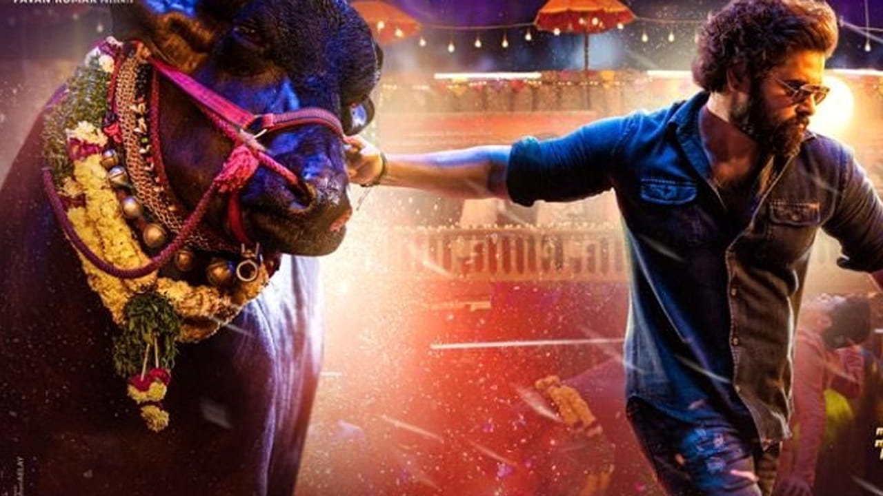 Ram Pothineni: రామ్- బోయపాటి సినిమాలో ఆ సీన్ నెక్స్ట్ లెవల్‌లో ఉంటుందట ...