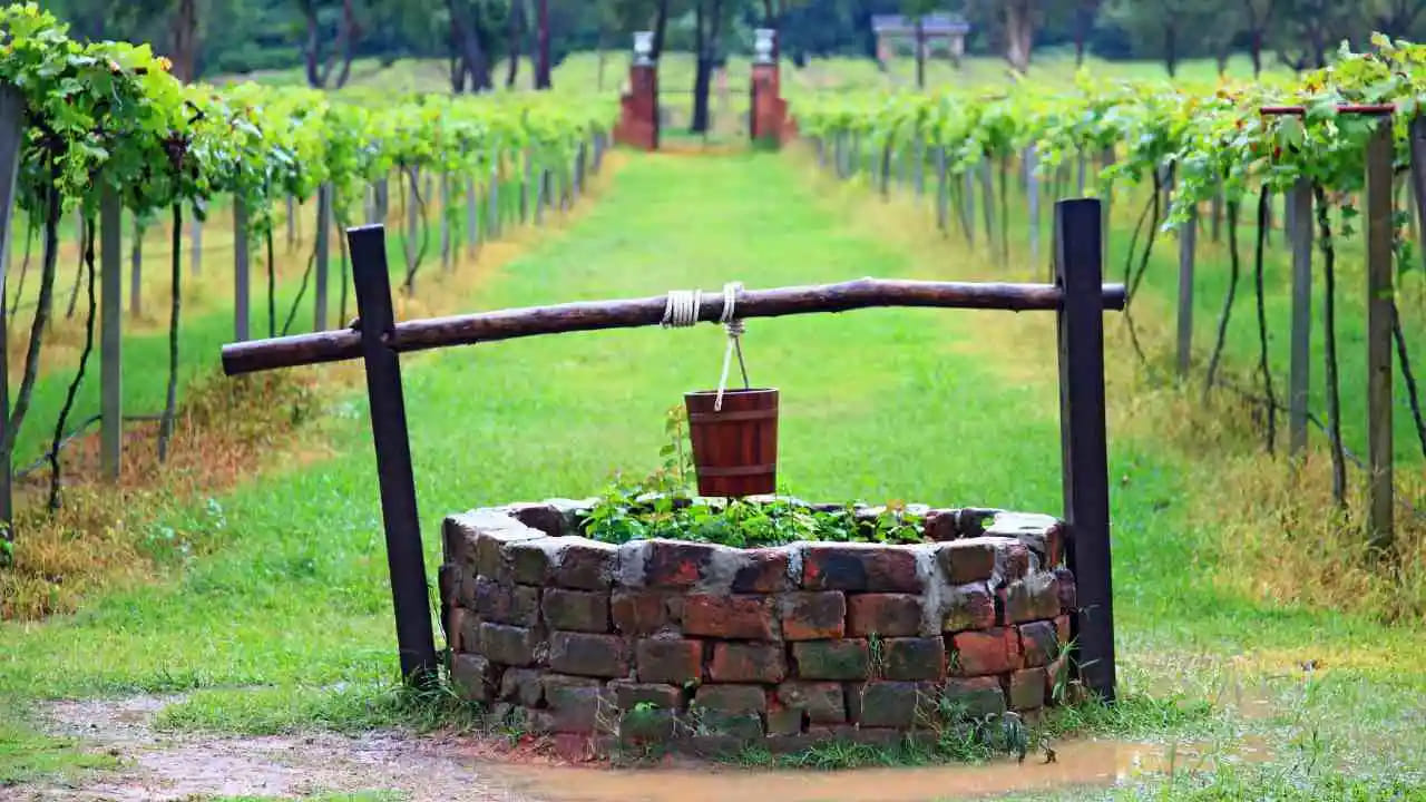 బావులు చతురస్రాకారంలో లేదా త్రిభుజాకారంగా ఎందుకు ఉండవని మీరు ఎప్పుడైనా ...