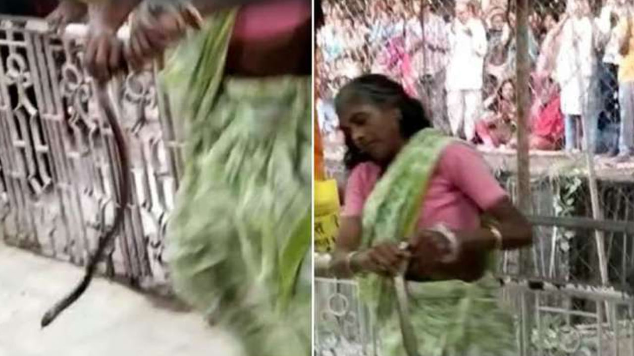 Viral Video: దేవుడికి హారతి ఇస్తుండగా.. చేతిలో నాగుపాముతో ఎంటరయిన మహిళ ...