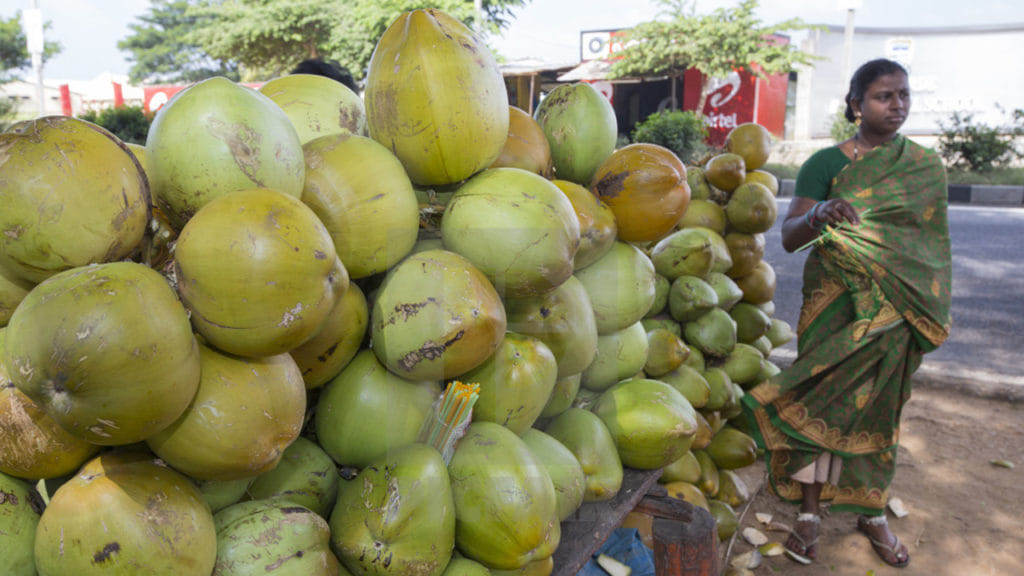 Low Investment: ఎండాకాలం 2 నెలలు ఈ బిజినెస్ చేస్తే పెట్టుబడి పోను 2 ...