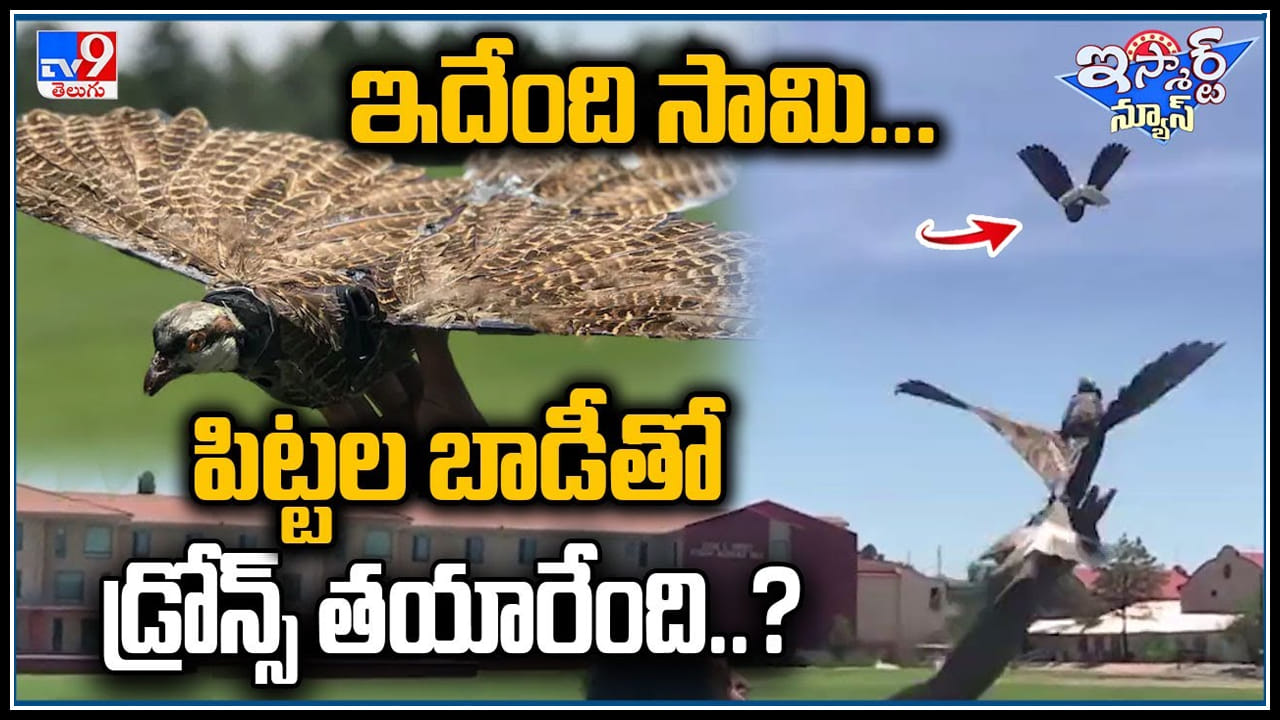 Bird Drones: ఇదేంది సామి.. పిట్టల బాడీతో డ్రోన్స్‌ తయారేంది..? వైరల్ ...