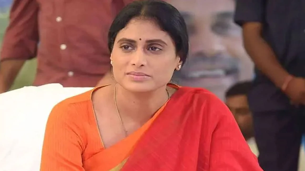YS Sharmila: పులి కడుపున పులే పుడుతుంది.. పాలేరు నుంచే పోటీ చేస్తా ...