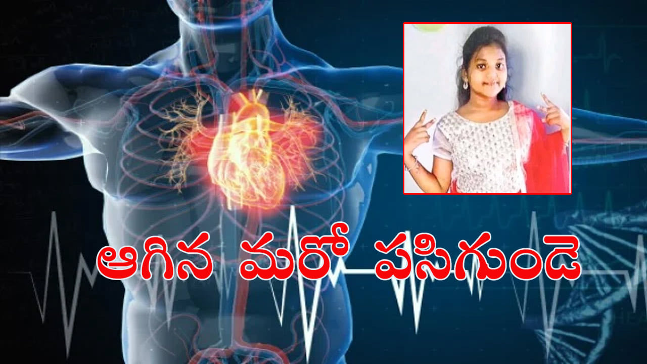Bhadradri Kothagudem: అయ్యో చిట్టితల్లీ..! గుండెపోటుతో 13 ఏళ్ల బాలిక మృతి - Telugu News ...