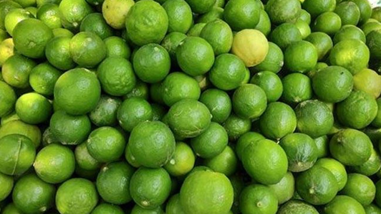 Lemon Price: అయ్యో.! భారీగా పడిపోయిన నిమ్మ రేటు.. ప్రజంట్ ఎంతంటే ...