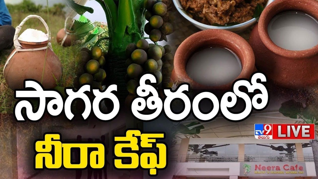 Neera Cafe: సాగర తీరంలో ప్రారంభమైన నీరా కేఫ్‌.. లైవ్ వీడియో - Telugu ...