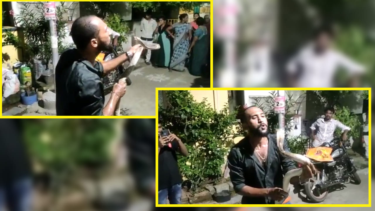 Andhra Pradesh: పామును పట్టే వరకు ఓకే.. ఆడించడమే శాపమైంది.. కాటుకు ...