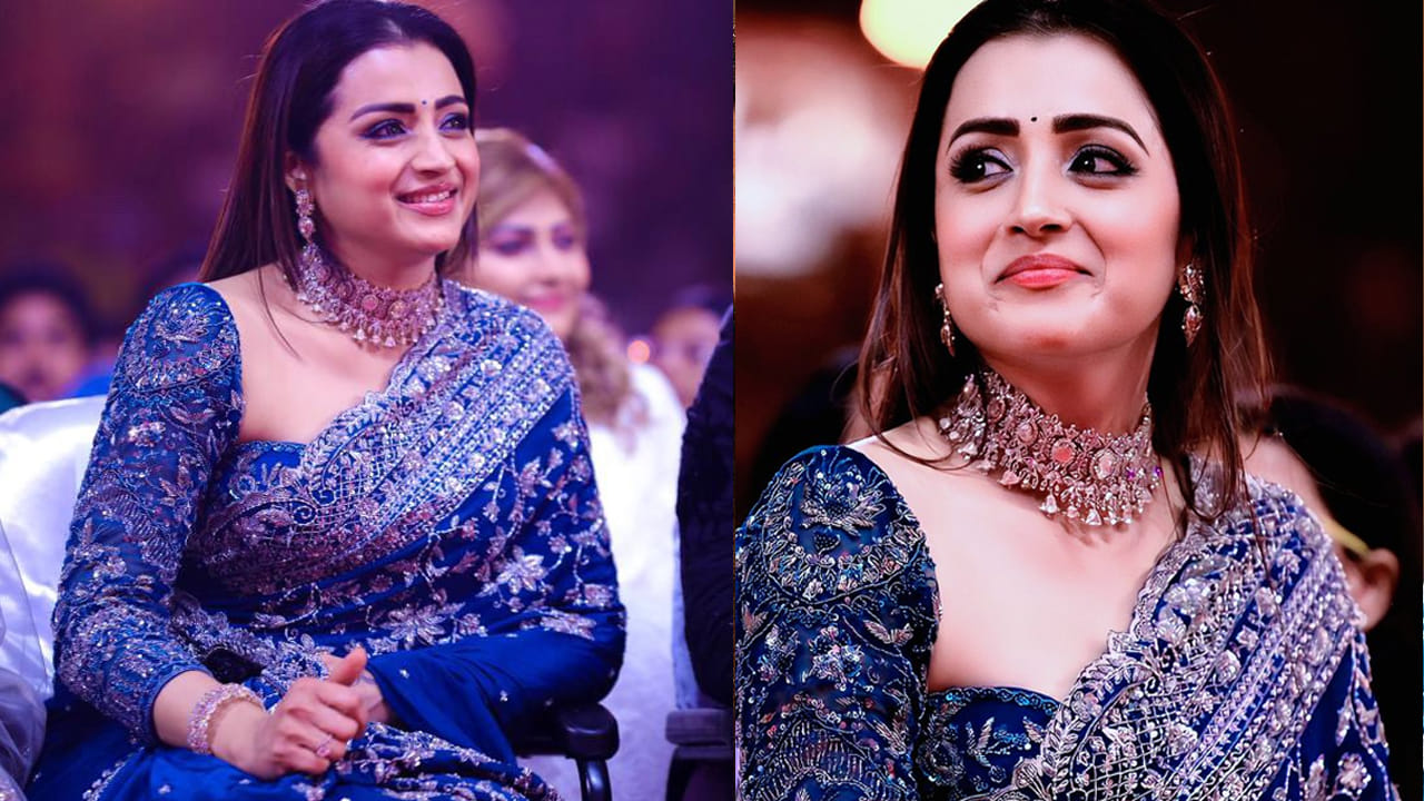 Trisha Krishnan: మణిరత్నం సినిమా తర్వాత స్పీడ్ పెంచిన త్రిష.. ఏకంగా ఆ ...