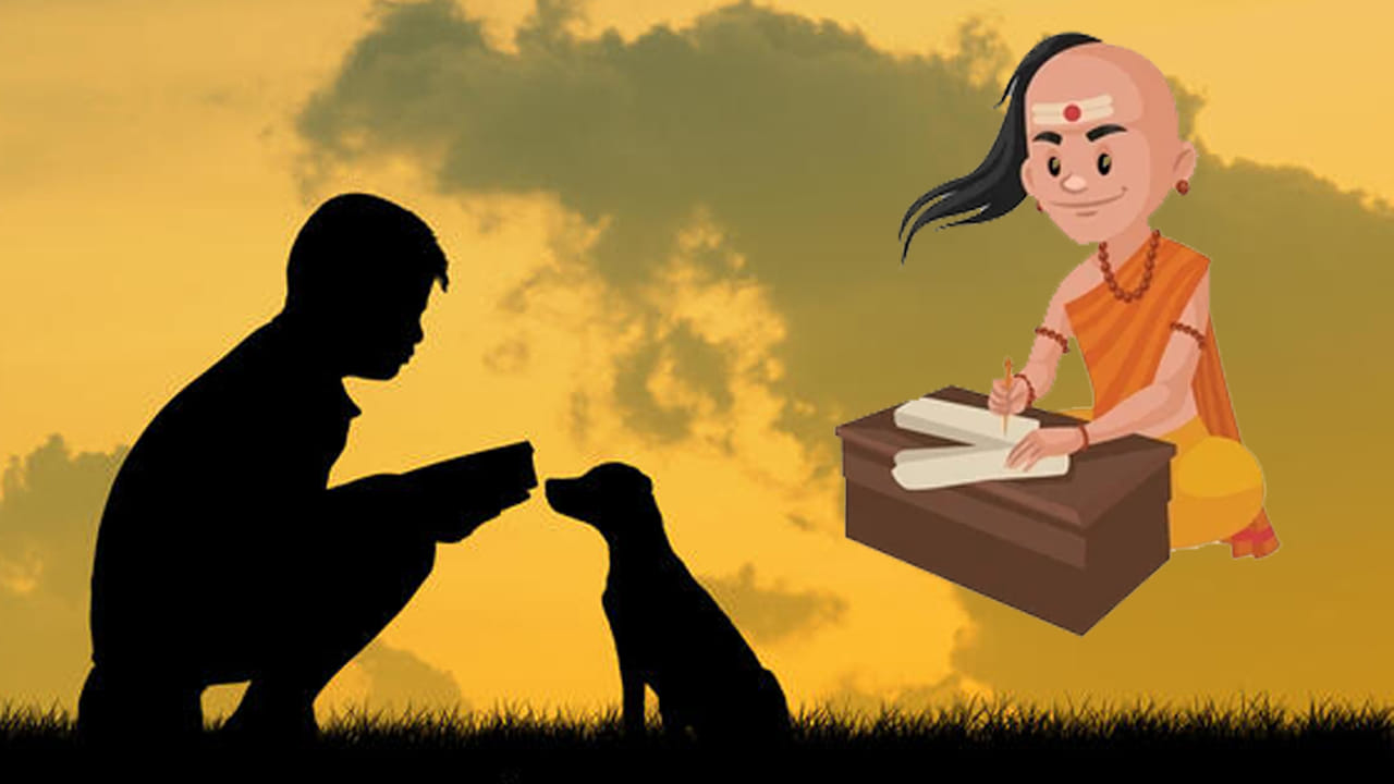 Chanakya Neeti: కుక్కల నుంచి నేర్చుకోవాల్సిన జీవిత పాఠాలు.. ఇవే మీకు ...