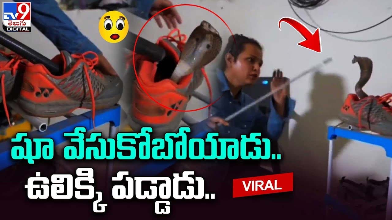 బయటకు వెళ్తూ చెప్పులు వేసుకోబోయాడు.. అంతే క్షణంలో.. - Telugu News ...