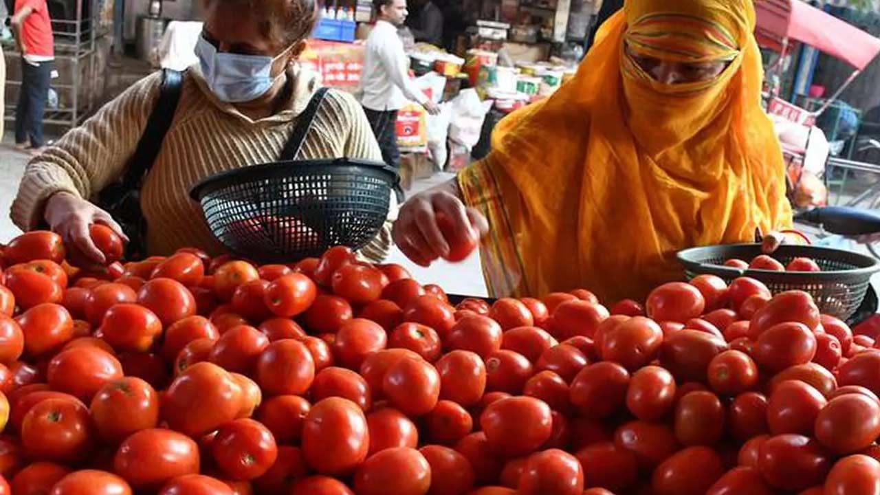Tomato Price Hike: అకాల వర్షాలకు తగ్గిన టమాటా దిగుబడి.. ధరకు రెక్కలు.. కిలో రూ.60.. మరింత పెరిగే ...
