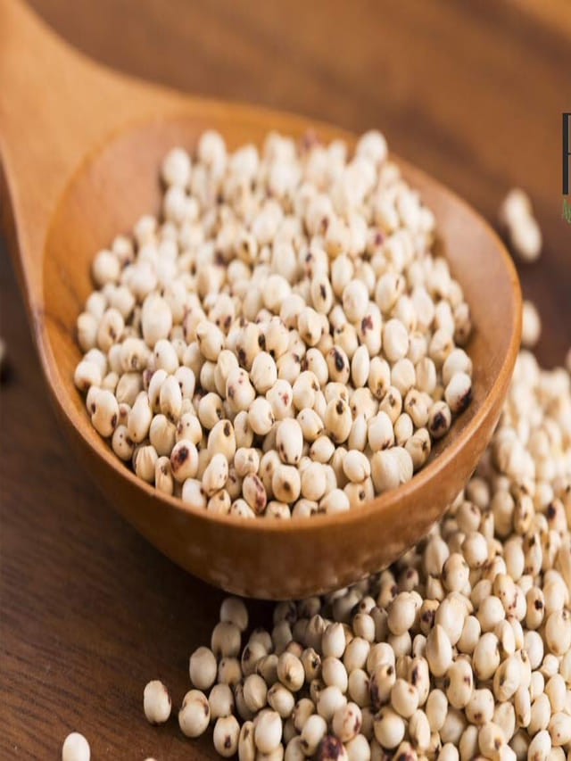 జొన్నలు తినడం వల్ల ఆరోగ్య కలిగే ప్రయోజనాలు.. – TV9 Telugu