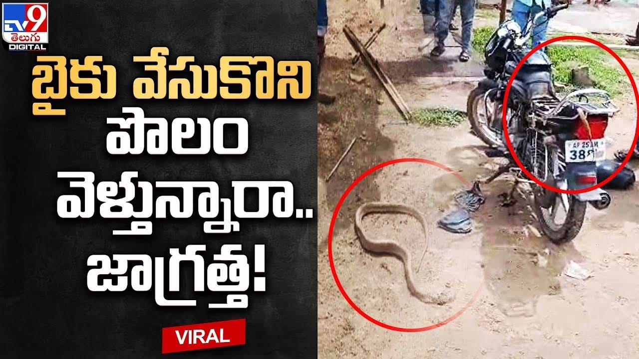 బైకు వేసుకొని పొలం వెళ్తున్నారా.. జాగ్రత్త.. - Telugu News | Snake ...