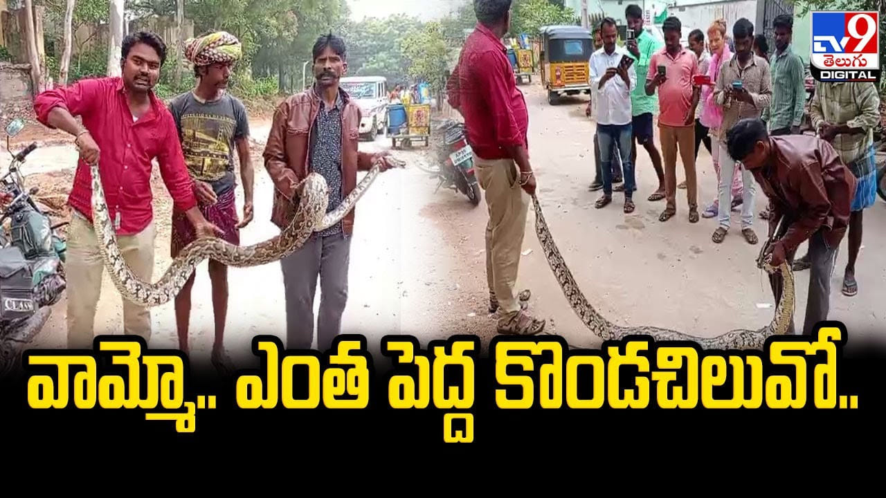 15 అడగుల పొడవు భారీ ఆకారంలో కొండ చిలువ !! పుట్టపర్తిలోని ఓ ఇంటి ఆవరణలో హల్‌చల్‌ - Telugu News ...