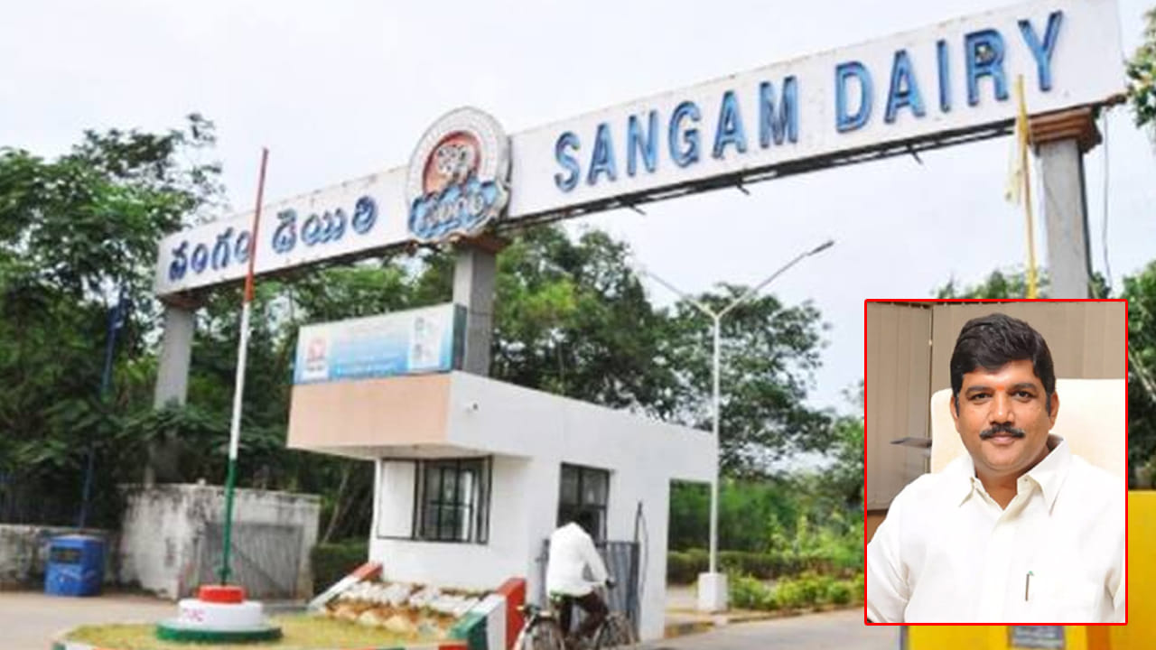 Sangam Dairy Case: సంగం డెయిరీలో చల్లారని మంటలు.. టీడీపీ నేత ధూళిపాళ్ల ...
