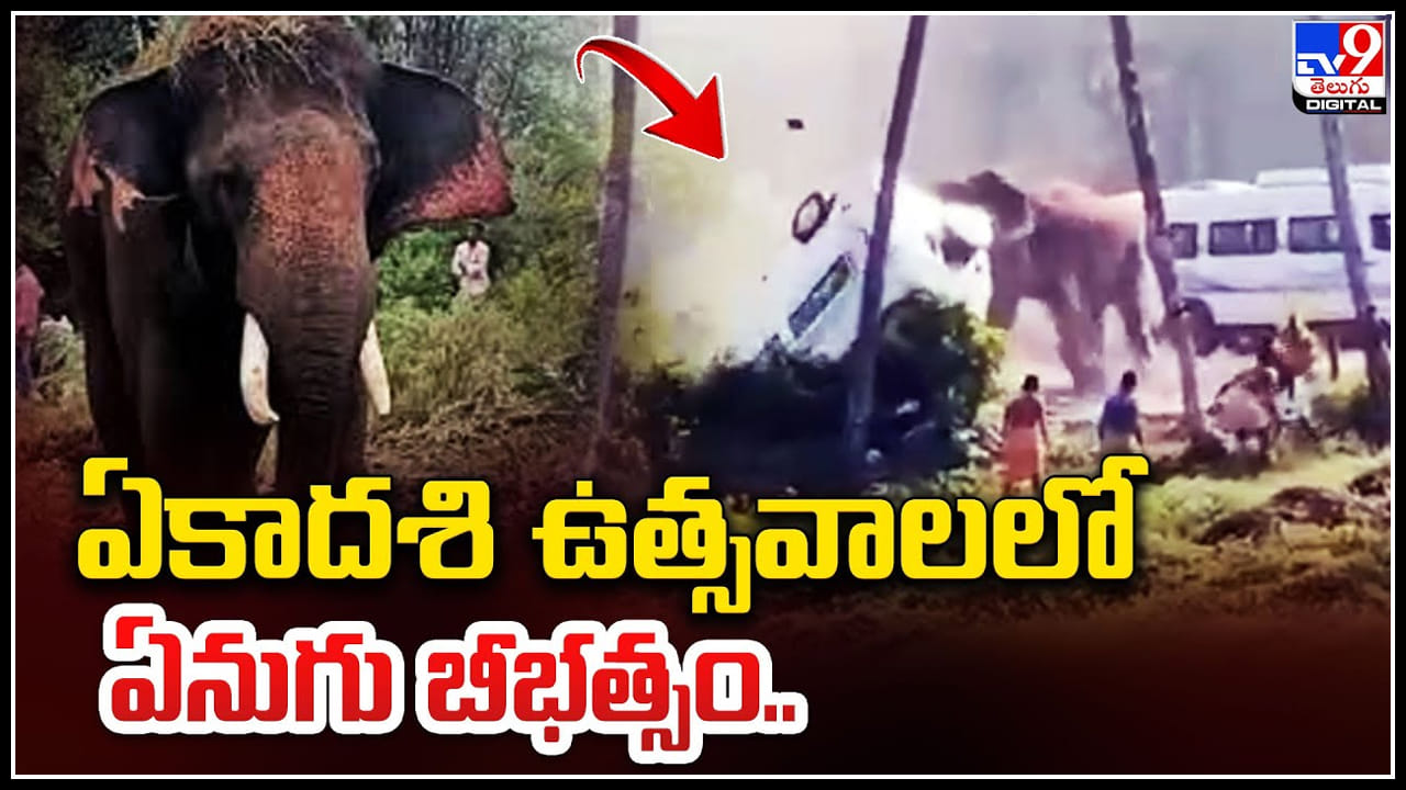 Viral: రామస్వామి ఏకాదశి ఉత్సవాలలో ఏనుగు బీభత్సం.. వాహనాన్ని ఎత్తి ...