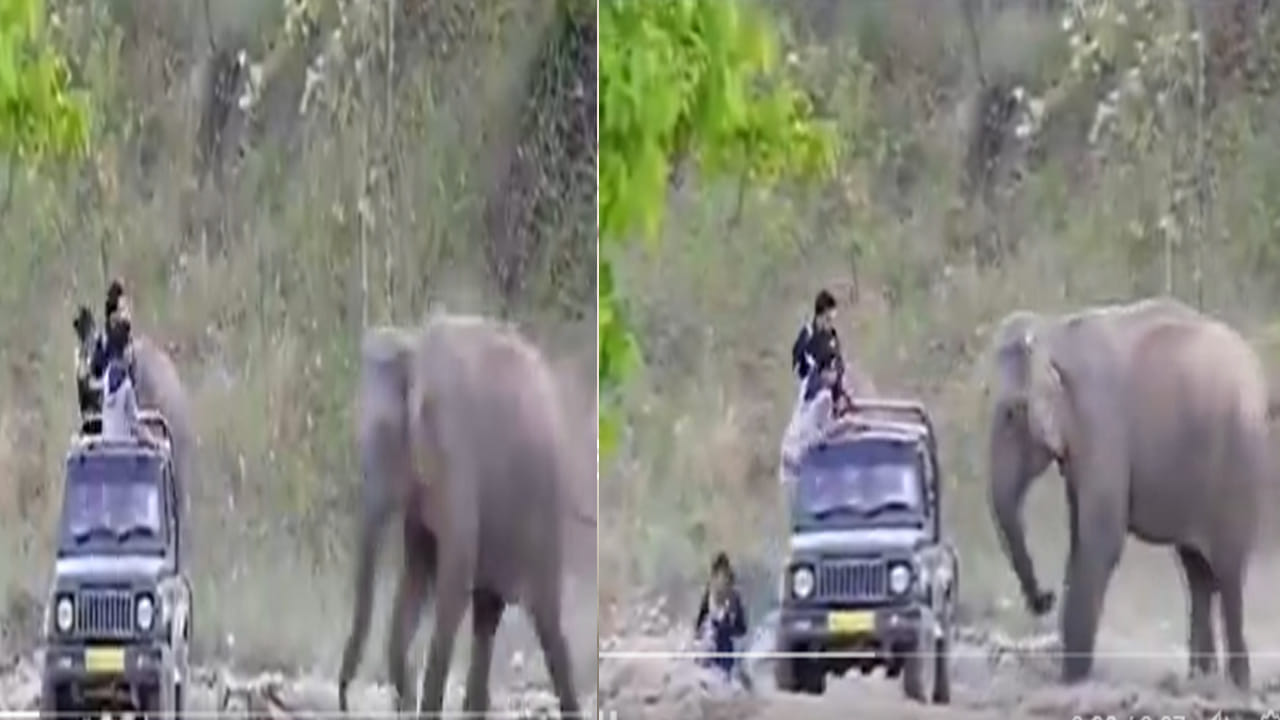 Viral Video: ఈ ఏనుగు మహా చిలిపి గురూ.. టూరిస్టులతో ఓ ఆట ఆడుకుందిగా ...
