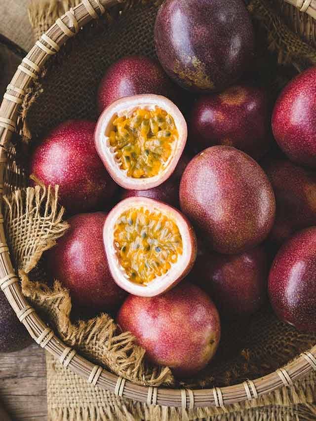 కృష్ణఫలం ఎప్పుడైనా తిన్నారా? కొండంత బలం.. – TV9 Telugu