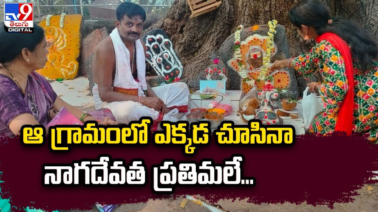 ఆ గ్రామంలో ఎక్కడ చూసినా నాగదేవత ప్రతిమలే - Telugu News | Vanished 150 ...