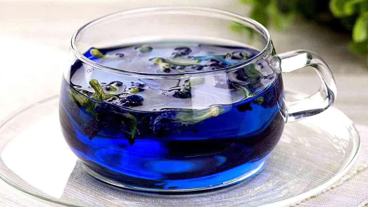 Blue Tea Making: బ్లూ టీ గురించి ఎప్పుడైనా విన్నారా? రాత్రి నిద్రకు ...