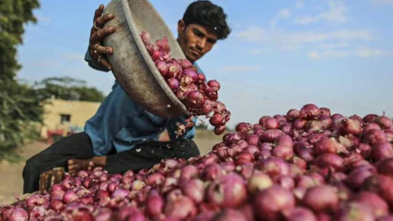 Onion Price: ఉల్లి రైతుల కన్నీరు.. నెల రోజుల్లోనే భారీగా పతనమైన ధరలు! కారణం ఇదే.. - Telugu News ...