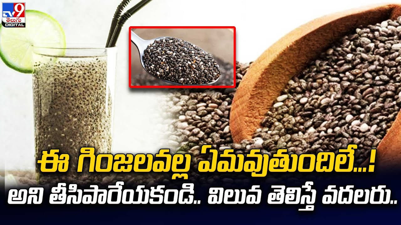 ఈ గింజలవల్ల ఏమవుతుందిలే !! అని తీసిపారేయకండి.. విలువ తెలిస్తే వదలరు ...