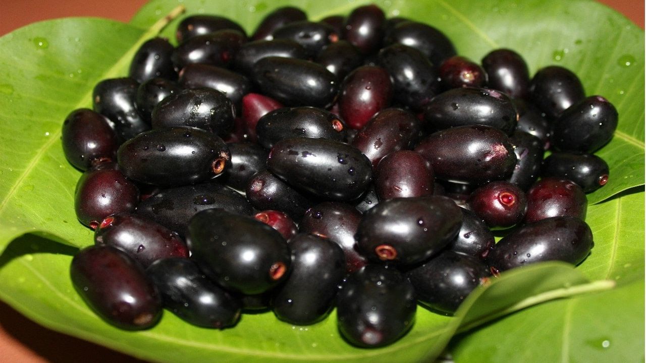 Jamun Fruit: నేరేడు పండులో ఎన్నో ఆరోగ్య రహస్యాలు.. డోంట్ మిస్! - Telugu ...