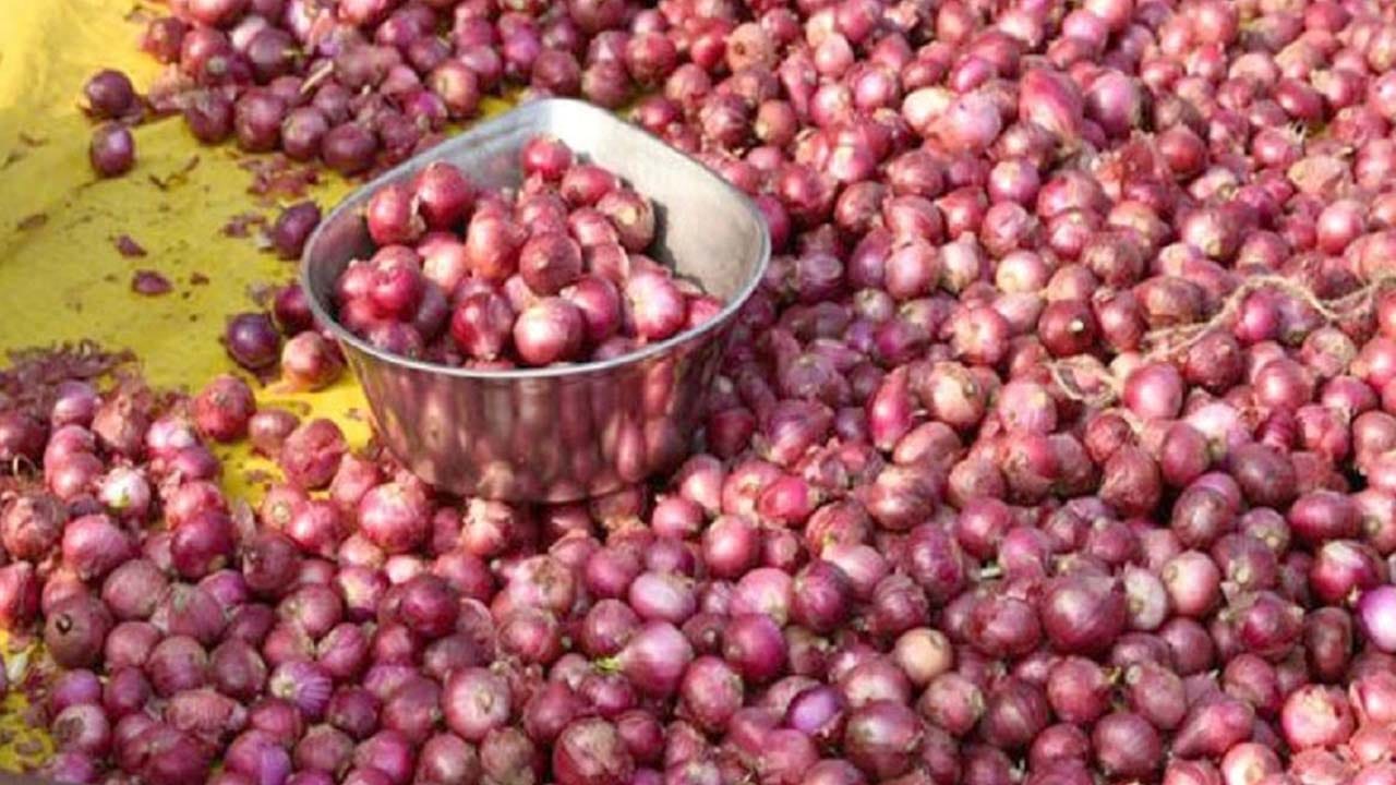 Onion Export: ఎగుమతి నిషేధంలో సడలింపు.. ఈ 6 దేశాలకు ఉల్లి సరఫరాకు గ్రీన్‌సిగ్నల్‌ - Telugu News ...