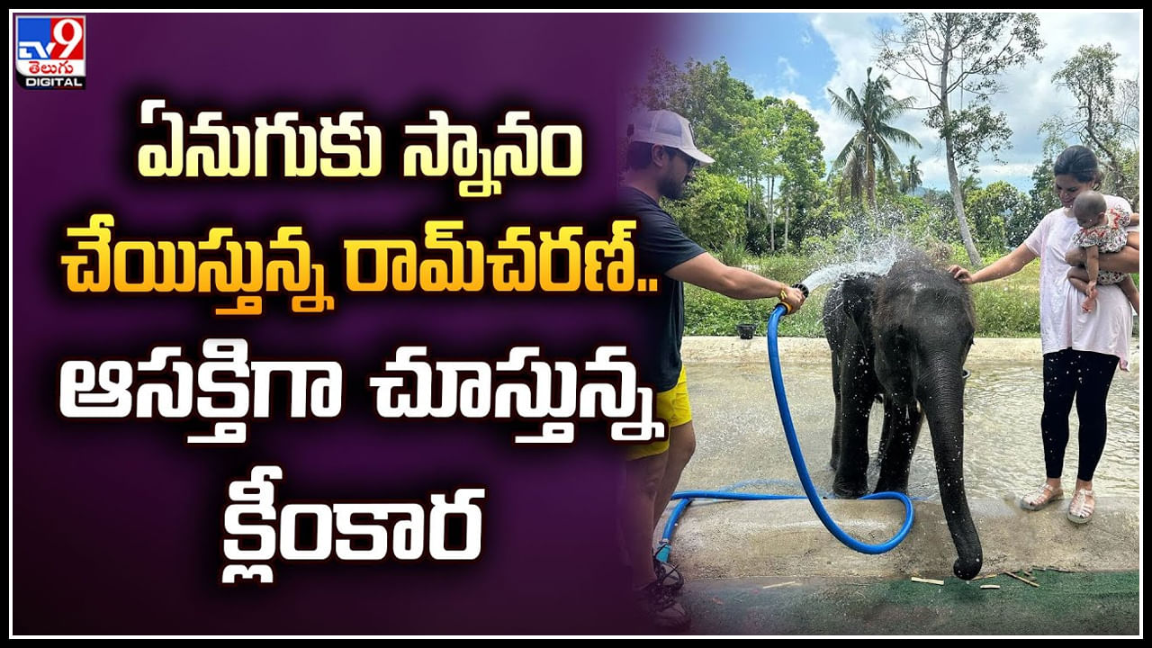 Ram Charan- Klinkara: ఏనుగుకు స్నానం చేయిస్తున్న రామ్‌చర్‌..ఆసక్తిగా ...