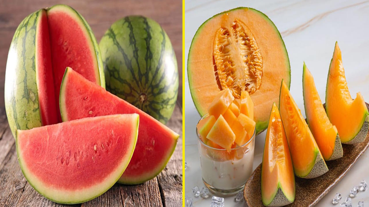 summer fruits: వేసవిలో దొరికే పుచ్చకాయ, కర్బూజలు ఏది మంచిది? ఆరోగ్య ప్రయోజనాలు ఇస్తాయంటే ...