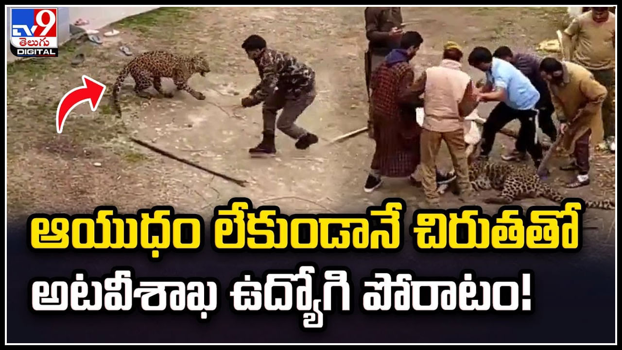 Leopard Viral Video: సాహసమంటే ఇది.! ఆయుధం లేకుండానే చిరుతతో పోరాటం.! - Telugu News | Wildlife ...