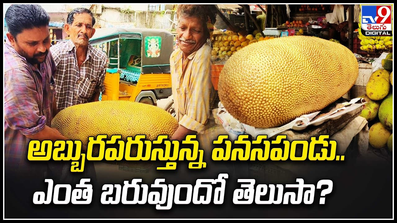 Viral Video: అంబాజీపేటలో బాహుబలి పనసపండు.. 80 కేజీల బరువు ఉన్న పనసపండు ...