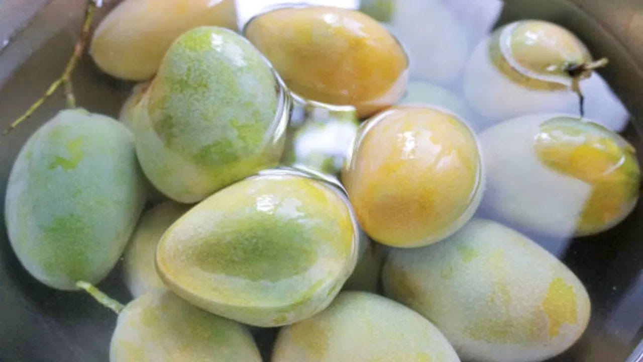 How to Eat Mangoes: నీళ్లలో నానబెట్టకుండా మామిడి పండ్లు తింటున్నారా? జాగ్రత్త..బరువు పెరుగుతారట ...