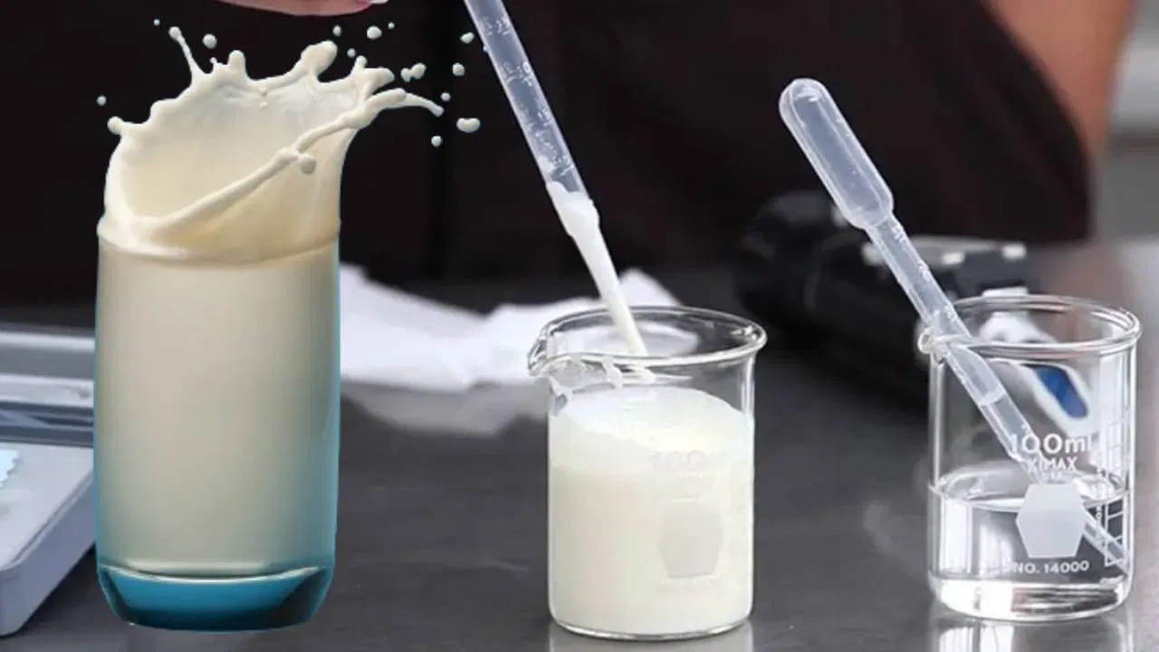 Milk Purity Test: మీరు తాగేపాలు కల్తీవా? స్వచ్ఛమైనవా? ఇలా తెలుసుకోండి ...