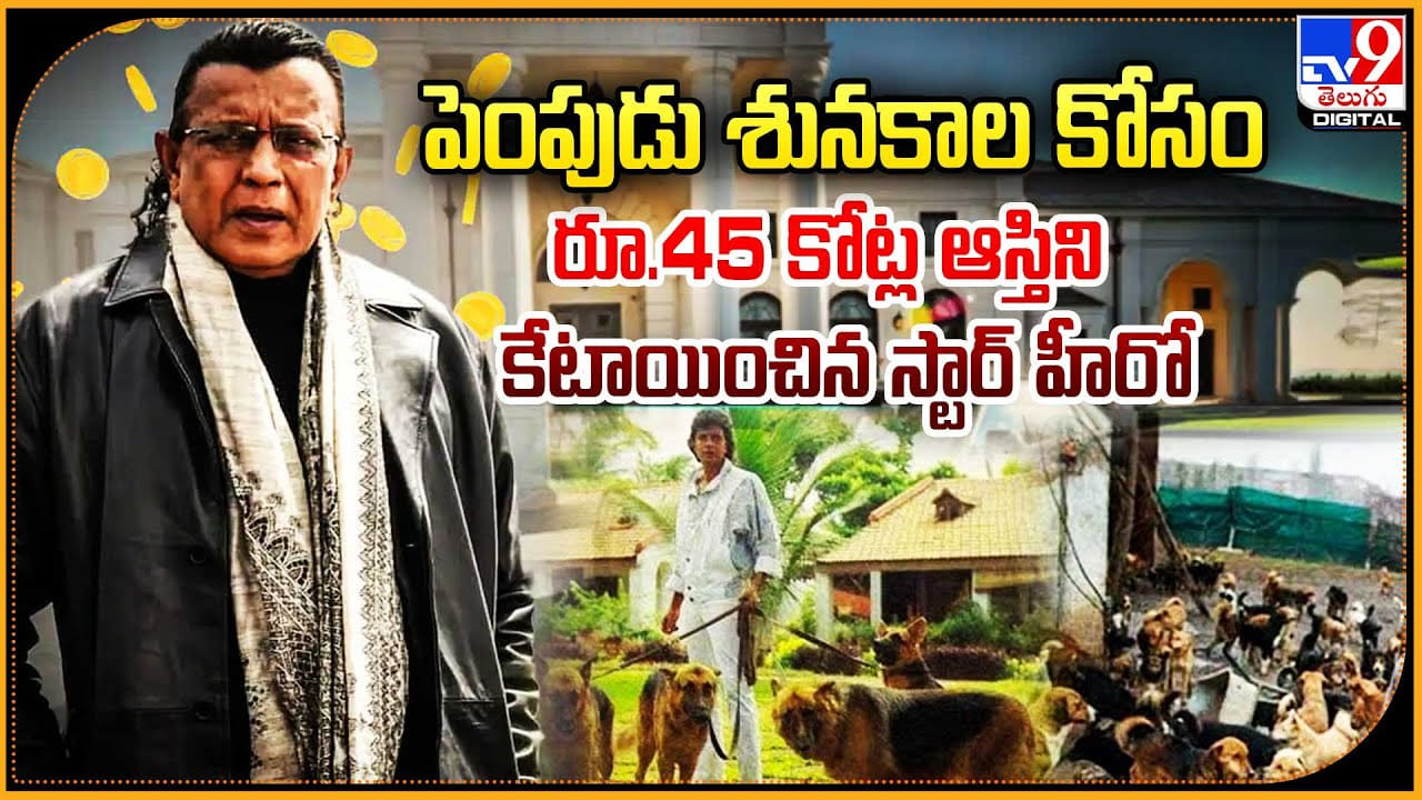Mithun Chakraborty: పెంపుడు కుక్కల కోసం 45 కోట్ల ఆస్తిని కేటాయించిన ...