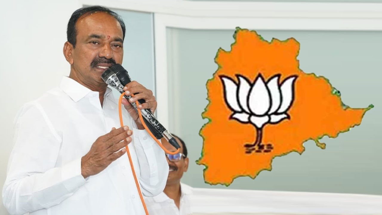 Etela Rajender: దమ్మున్నోడు కావాలి.. గల్లీల్లో కొట్లాడేవాళ్లు కాదు ...