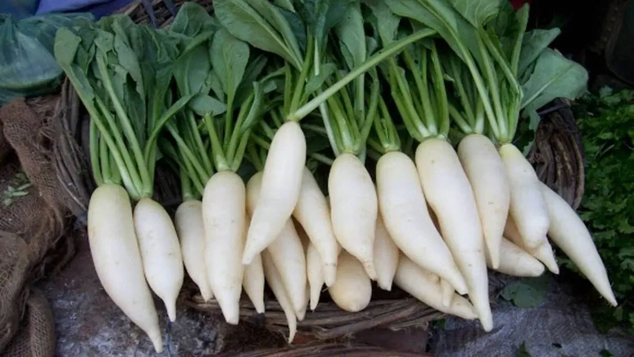Radish Uses: అయ్యయ్యో ముల్లంగిని పక్కన పెట్టేస్తున్నారా.. ఇది వరం ...