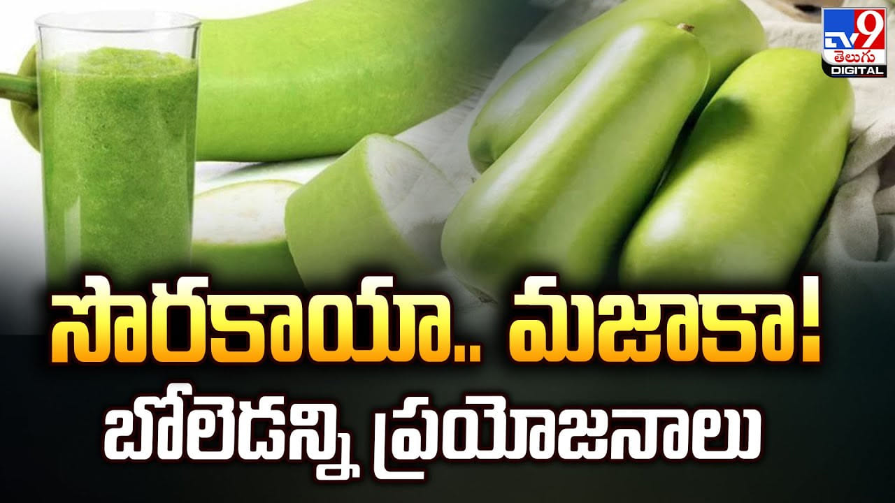 సొరకాయా.. మజాకా !! బోలెడన్ని ప్రయోజనాలు - Telugu News | Top health ...