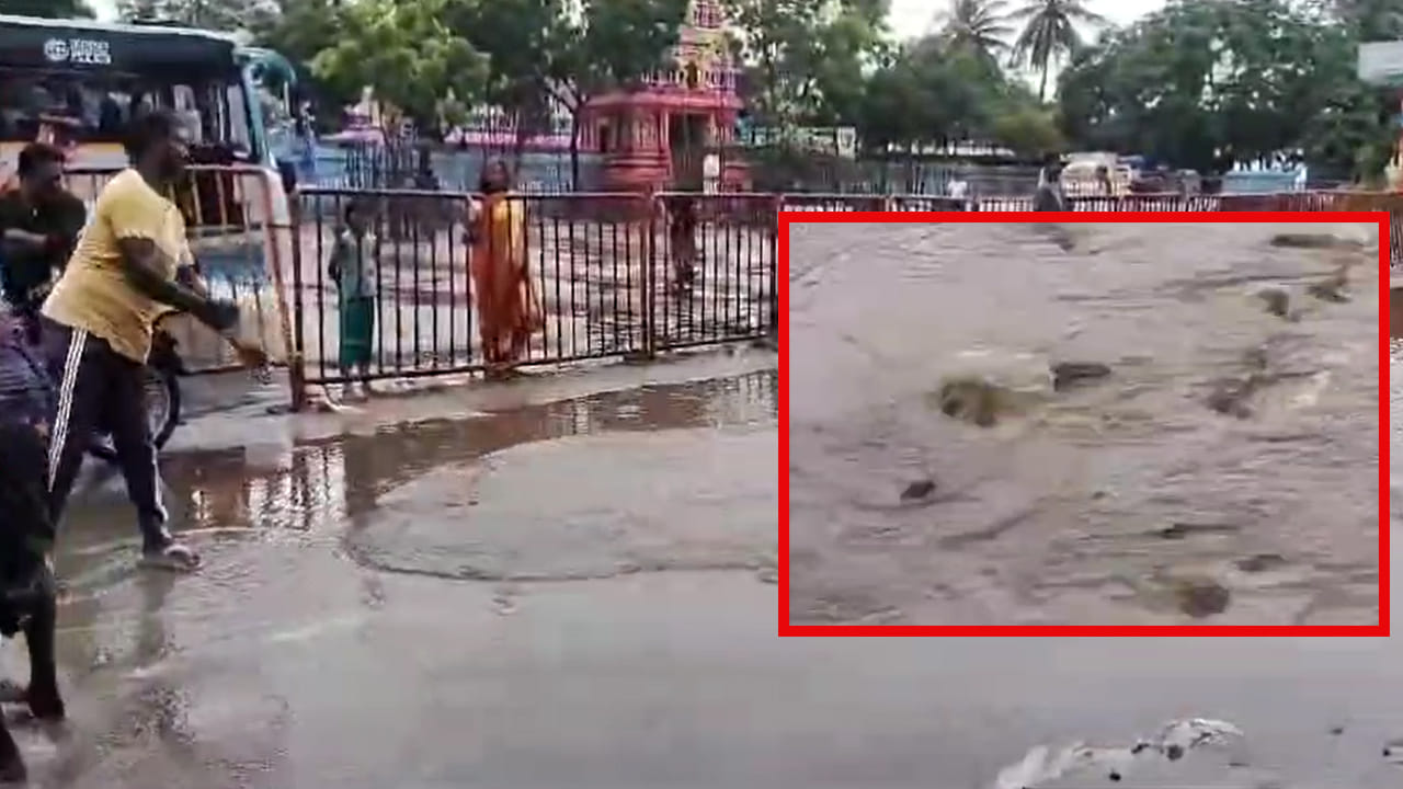 Fish on Road: రోడ్డుపై చేపల పరుగులు.. ఎగబడిన జనం.. ఎక్కడో తెలుసా ...