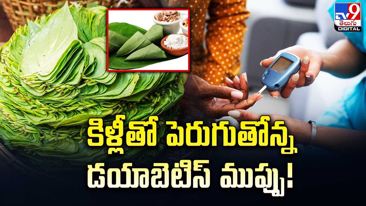 కిళ్లీతో పెరుగుతోన్న డయాబెటిస్ ముప్పు | Eating paan side effects ...