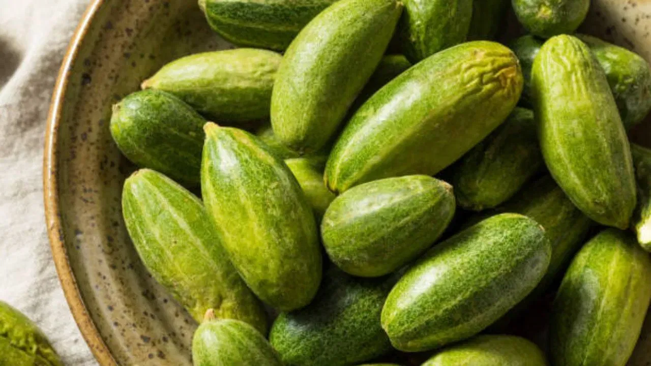 Potals: ఈ సీజనల్ వెజిటేబుల్ తింటే మెరిసే స్కిన్ మీ సొంతం.. మరెన్నో ...