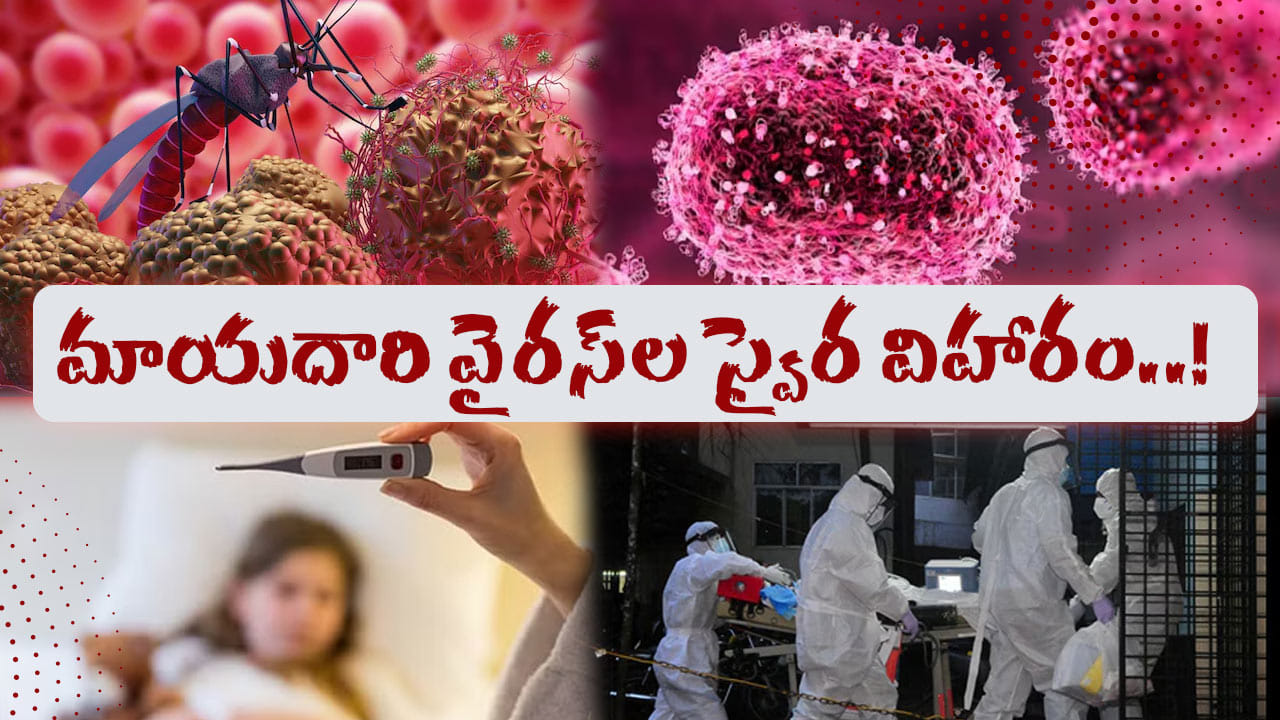 వామ్మో.. మాయదారి వైరస్‌ల స్వైర విహారం.. జనం గుండెల్లో భయం భయం ...
