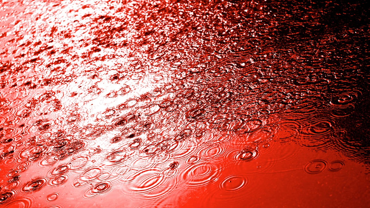 Blood Rain: ఈ ప్రాంతాల్లో ర‌క్త‌పు వ‌ర్షం కురుస్తుంది.. కార‌ణం ఏంటంటే ...