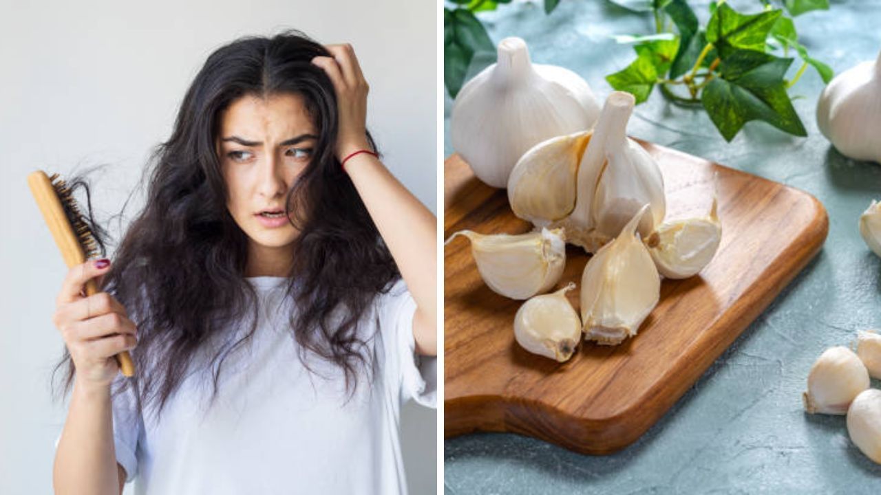 Garlic for Hair Fall: హెయిర్ ఫాల్‌ని కంట్రోల్ చేసే వెల్లుల్లి.. ఎలా ...